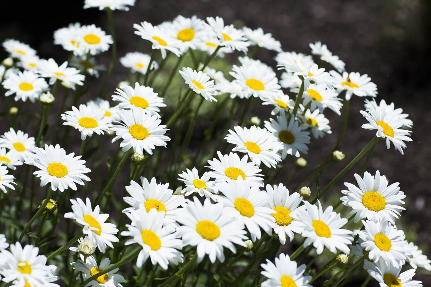 Homepage | Turning Point